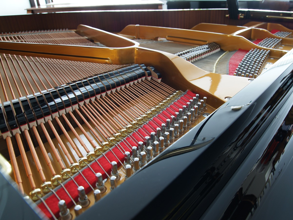 Piano del Sol A171 - Schöner Flügel mit großer Klangvielfalt